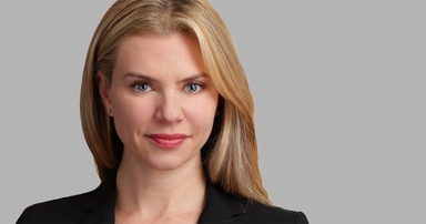 NAIC Adopts Model Bulletin on Artificial Intelligence | BakerHostetler